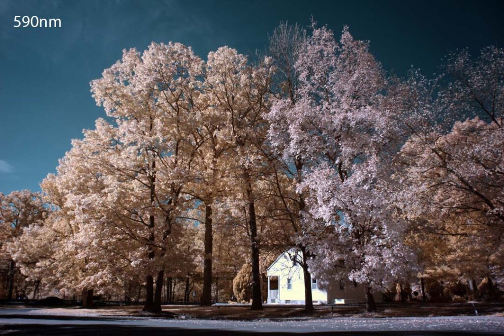 Canon DSLR and Mirrorless Infrared Conversion Service – Kolari Vision