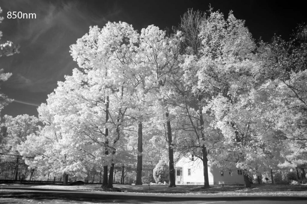 Canon DSLR and Mirrorless Infrared Conversion Service – Kolari Vision