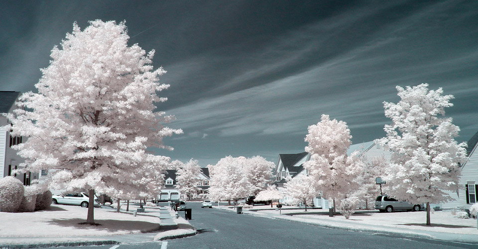 Infrared Conversions and Infrared Photography Cameras