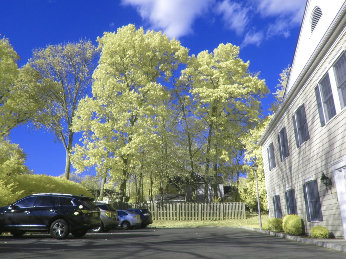 Canon G15 NDVI Blue IR Filter – Kolari Vision