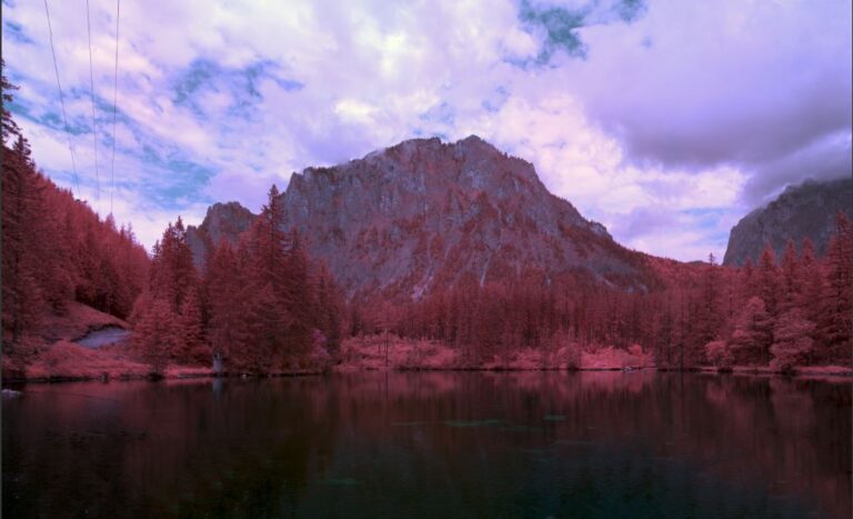 How to Emulate Kodak Aerochrome with the 550nm IR Filter – Kolari Vision