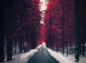 How to Emulate Kodak Aerochrome with the 550nm IR Filter – Kolari Vision