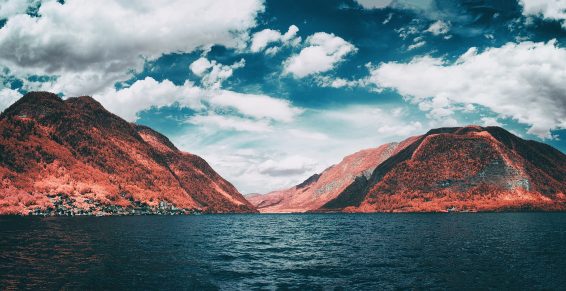 How to Emulate Kodak Aerochrome with the 550nm IR Filter – Kolari Vision