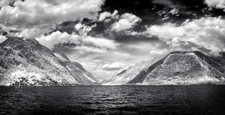 How to Emulate Kodak Aerochrome with the 550nm IR Filter – Kolari Vision