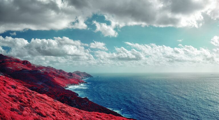 How to Emulate Kodak Aerochrome with the 550nm IR Filter – Kolari Vision