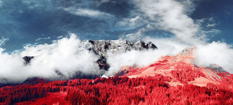 How to Emulate Kodak Aerochrome with the 550nm IR Filter – Kolari Vision