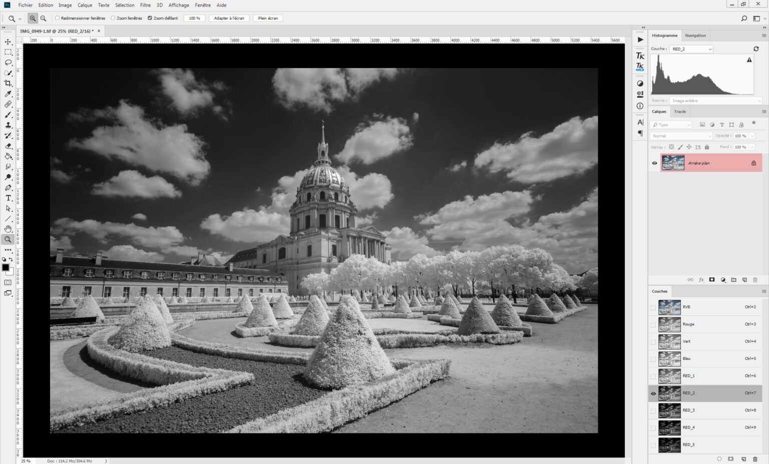 Advanced Infrared Photography Processing: The Power of Luminosity Masks ...