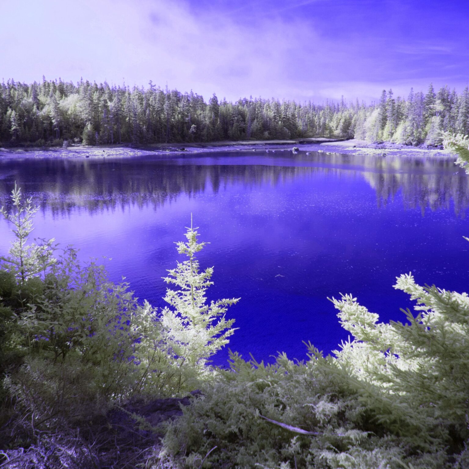 Snowball – Kolari Vision