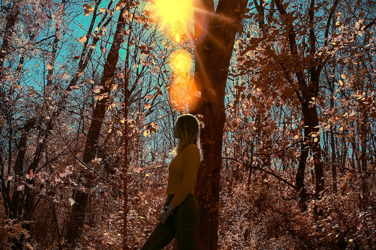 Sun Sprite – Kolari Vision