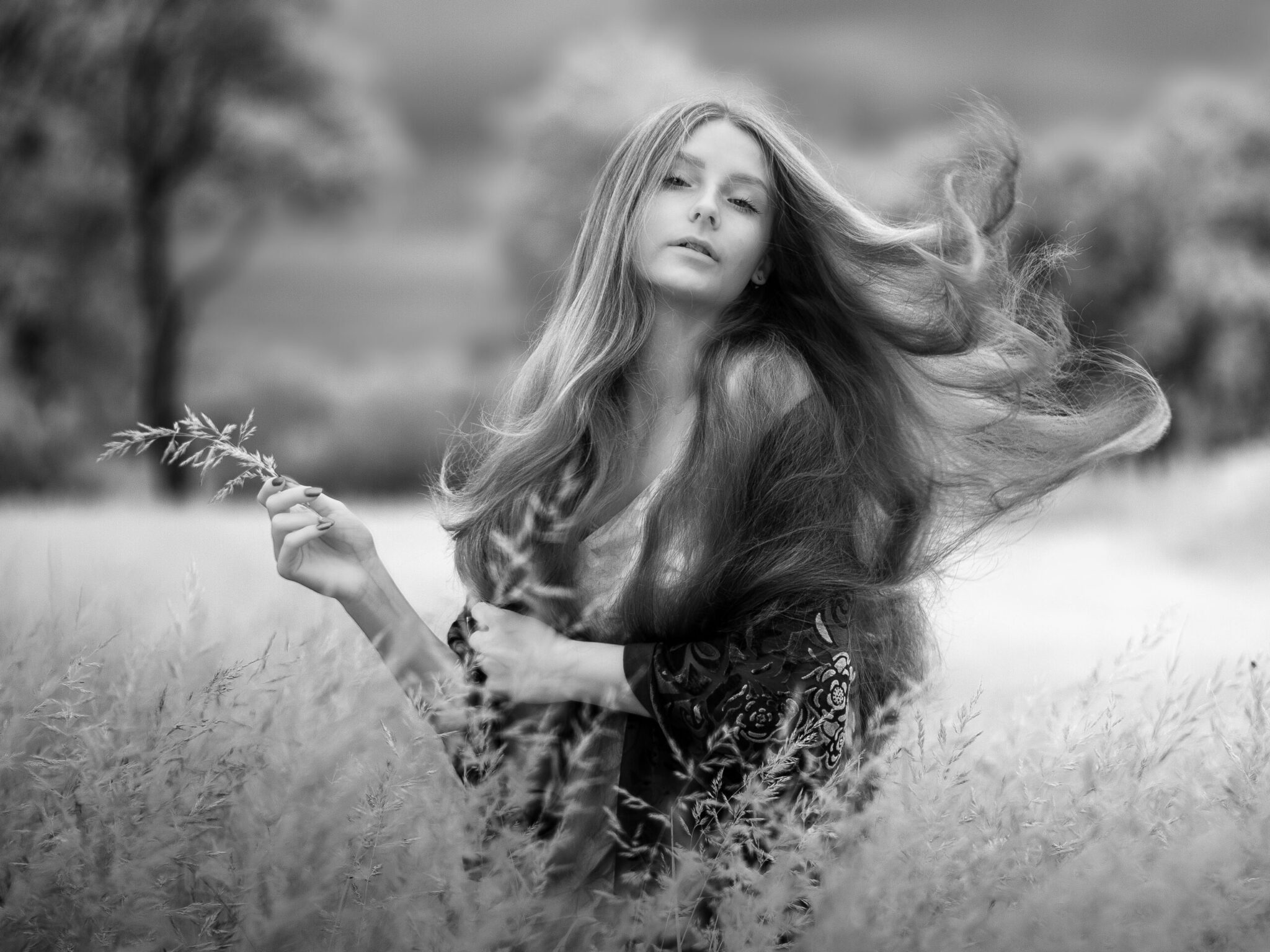 Infrared Photography Blog – Kolari Vision