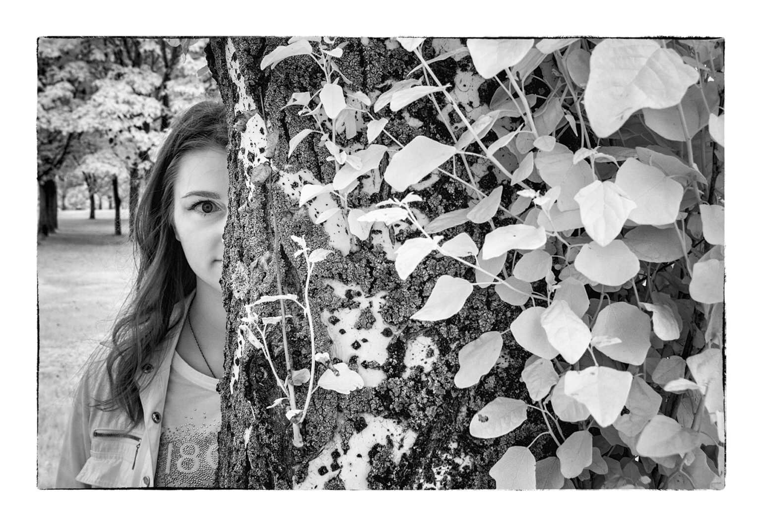 Infrared Photography Blog – Kolari Vision