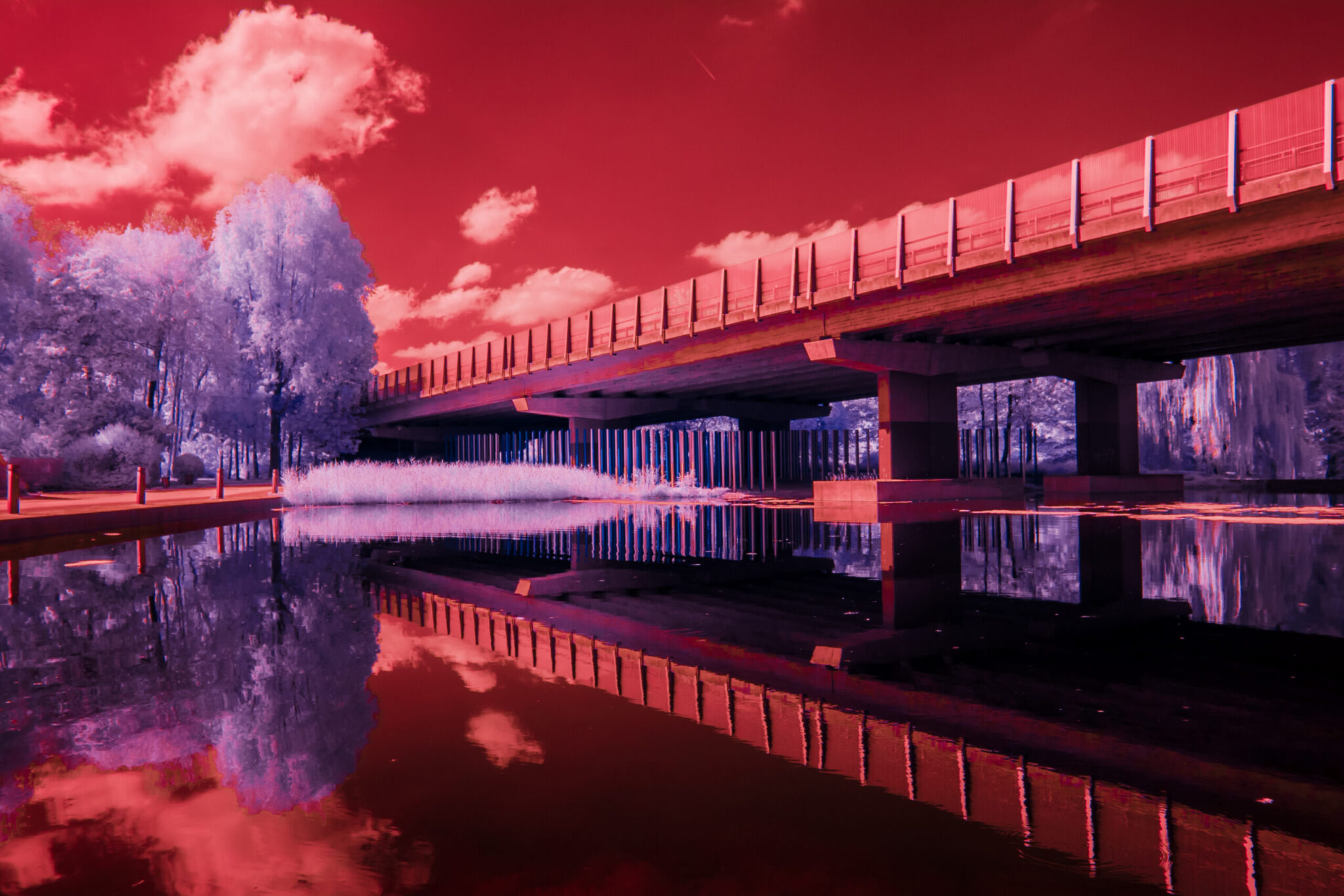Infrared Photography Blog – Kolari Vision