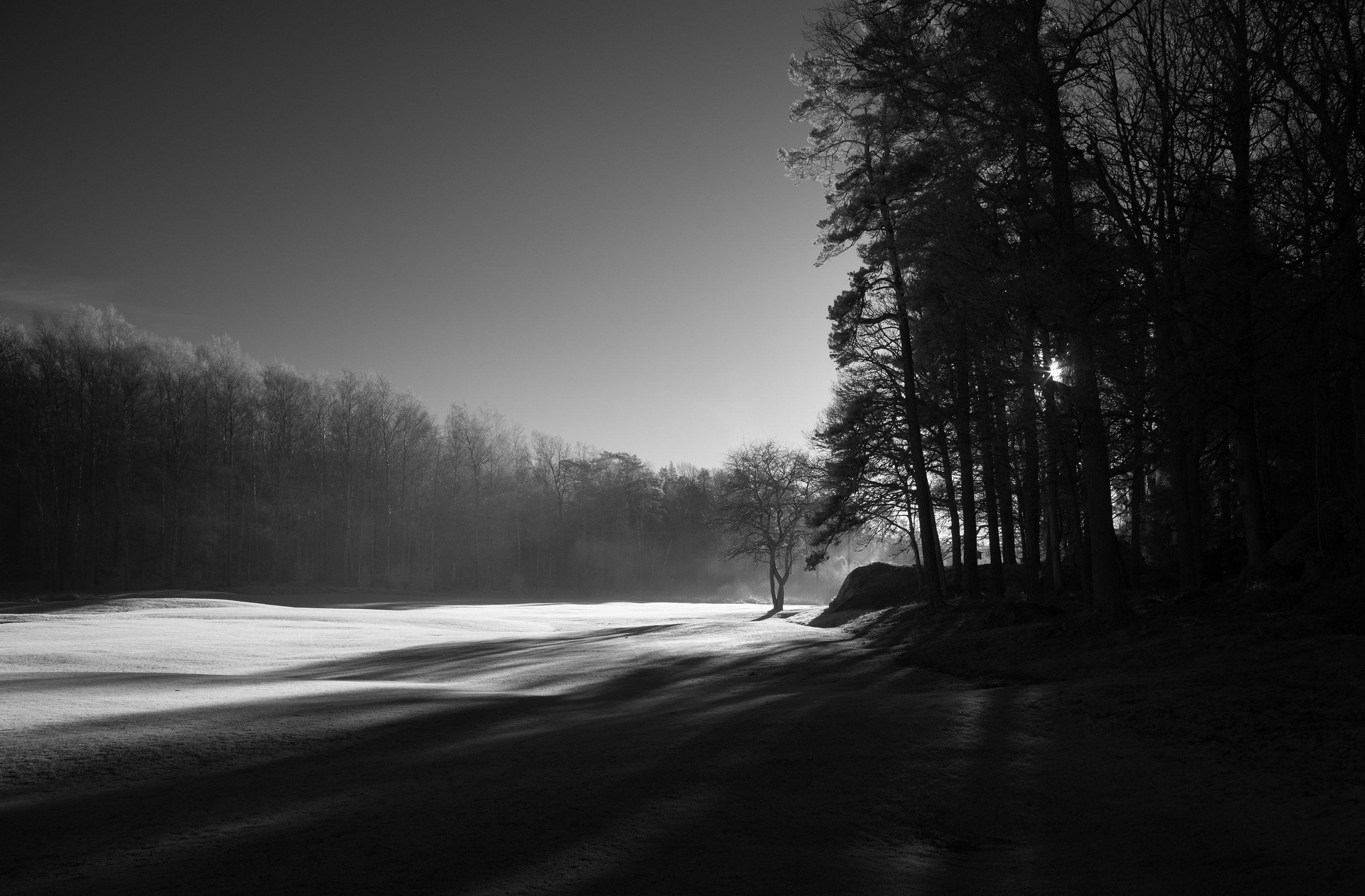 Mid Day Sun - Kolari Vision