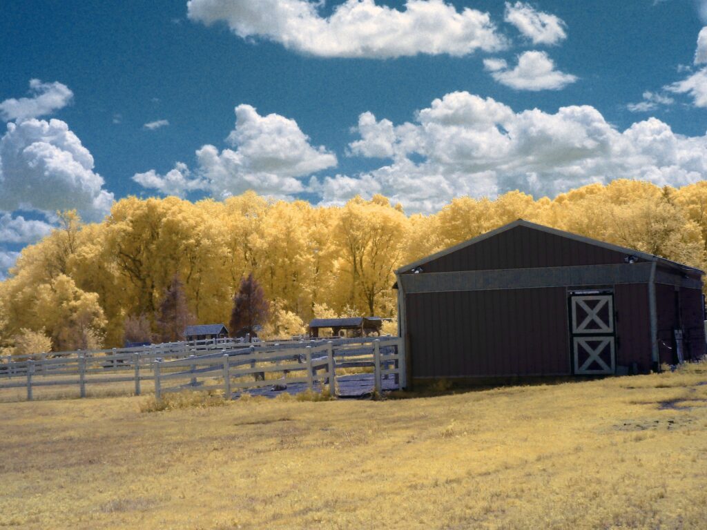 Michel Scheffers Archives – Kolari Vision