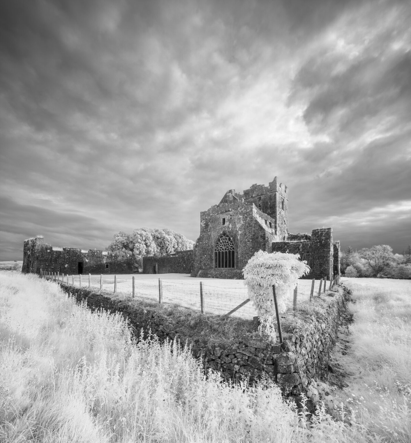 Kilcooley Abbey - Kolari Vision