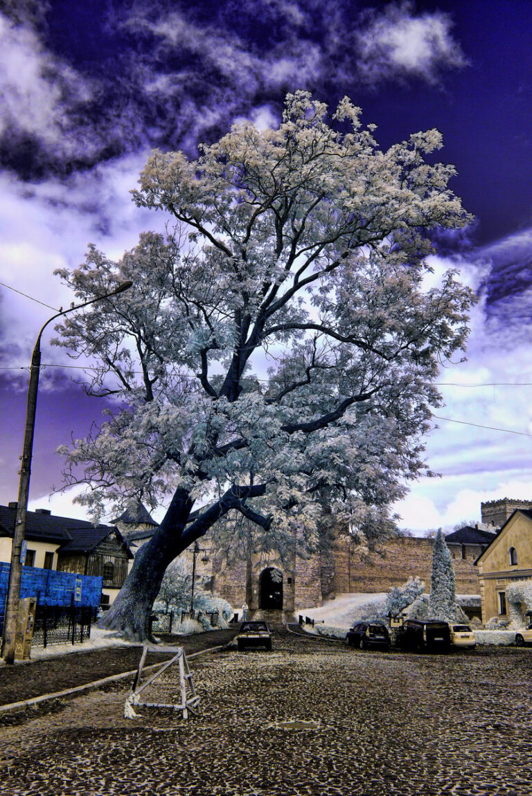 Lesin is clear – Kolari Vision