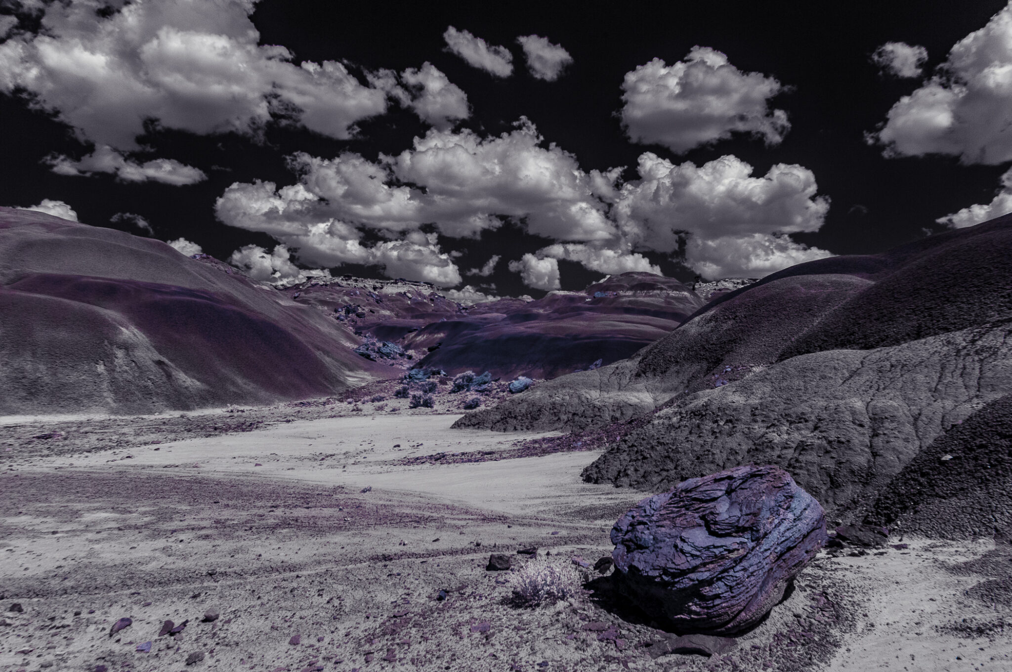 Infrared Photography Blog – Kolari Vision