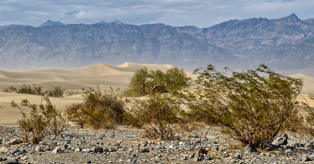 Sand Dunes – Kolari Vision