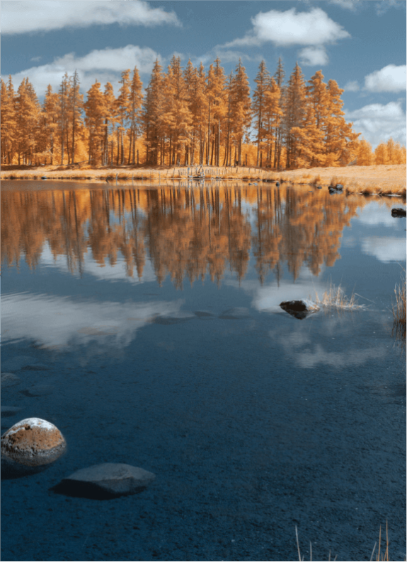 Infrared LUT Pack by Pierre-Louis Ferrer – Kolari Vision
