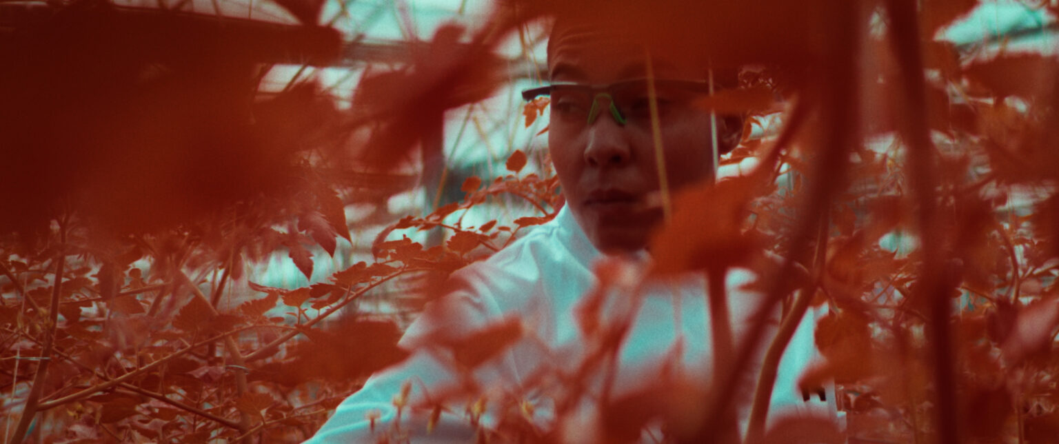 Project Solanum - Infrared Cinematography with Full-Spectrum Conversion and IRChrome – Kolari Vision