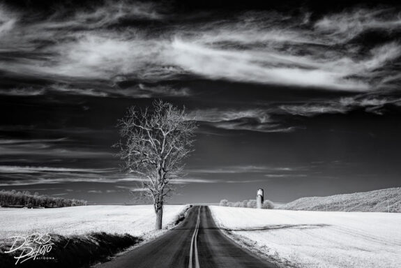 The Long View – Kolari Vision